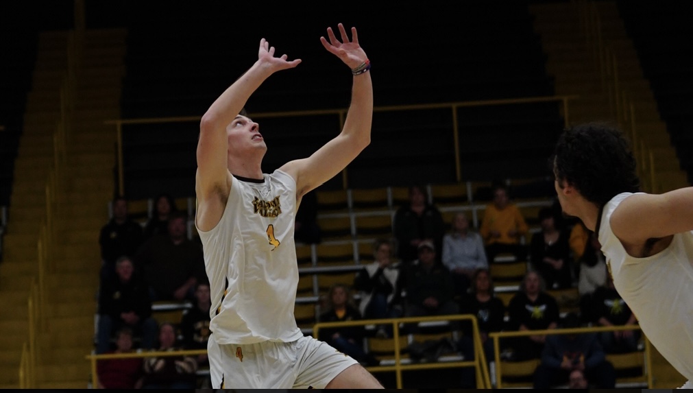 Brandon Long – InsideHitter.com