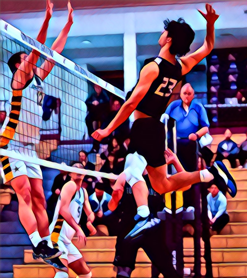 Updated Rankings (Hybrid) for NCAA D3 Men’s Volleyball, 1/20/24 – InsideHitter.com