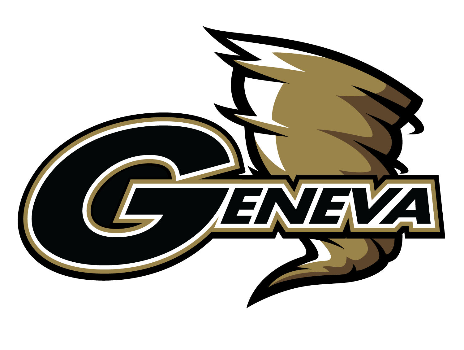 2024 PSR – Geneva Golden Tornados – InsideHitter.com