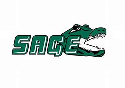 Sage Gators PSR 2025 – InsideHitter.com